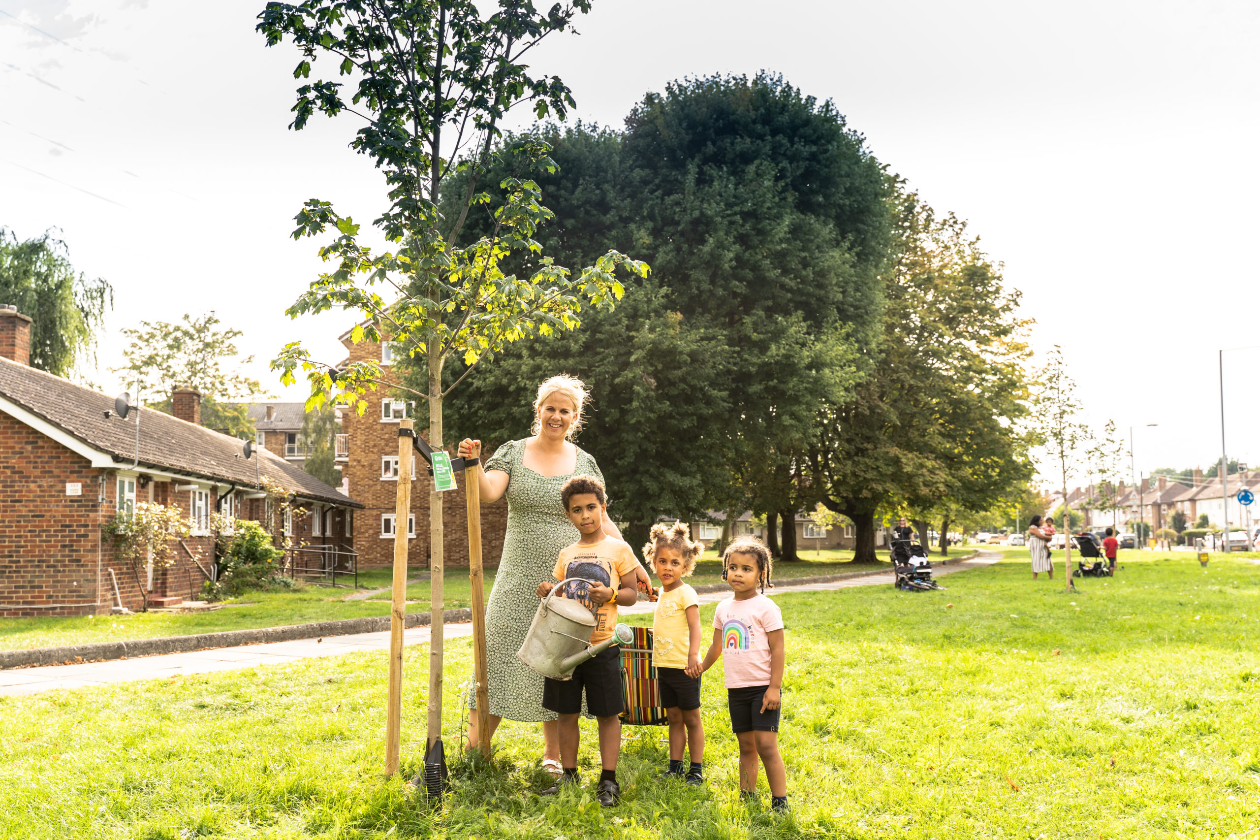 Our Vision - Trees for Streets