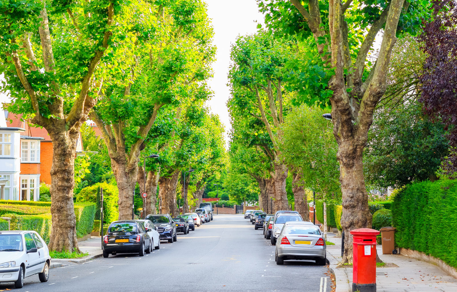 For residents - Trees for Streets