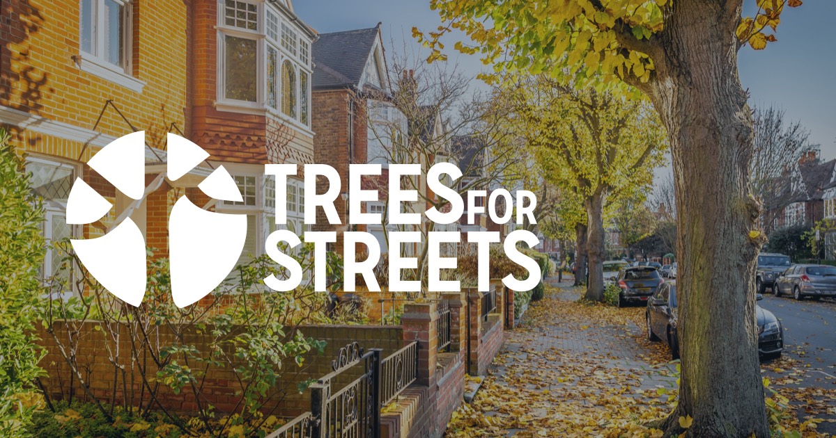 Trees for Streets - Let's fill our streets with trees