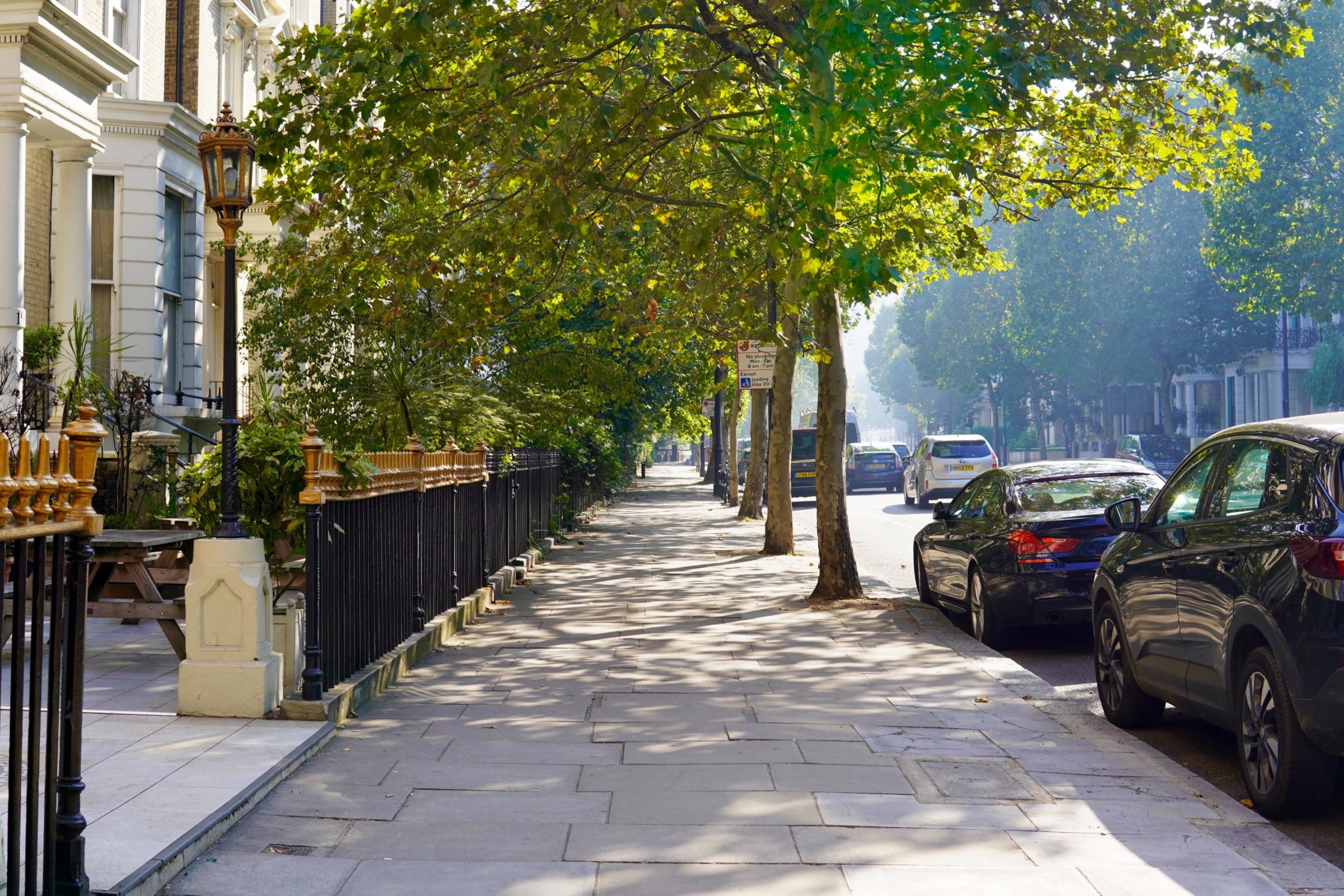 How street trees can make our lives healthier and happier - Trees for ...