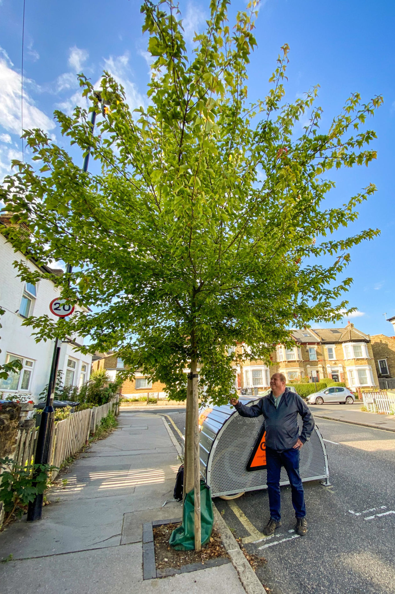 The right tree for your street - Trees for Streets
