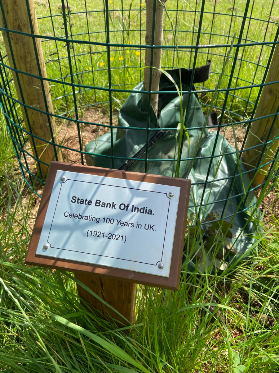 Celebrating 100 years of banking in the UK - Trees for Streets