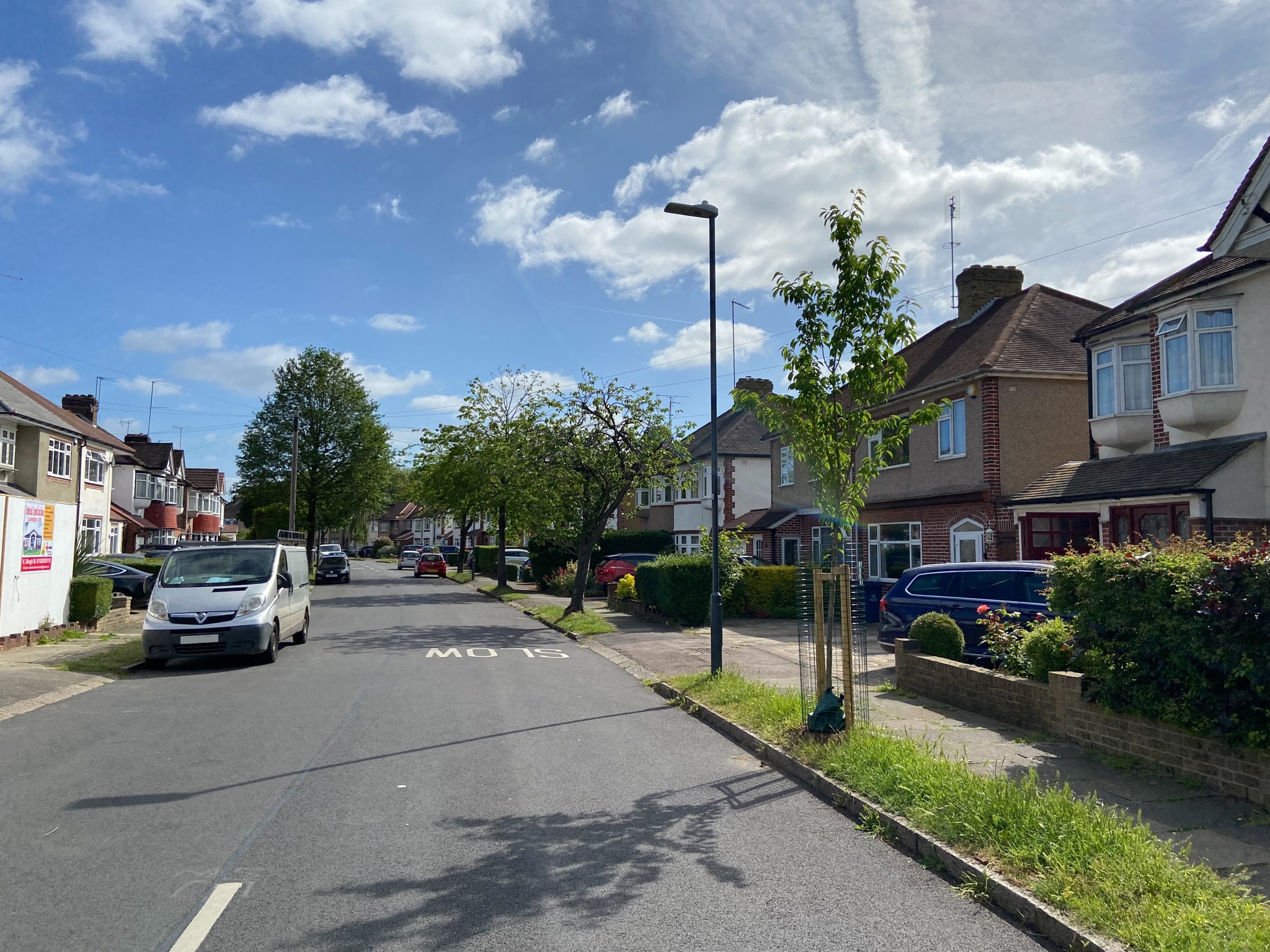 Trees for streets in Harrow - Trees for Streets