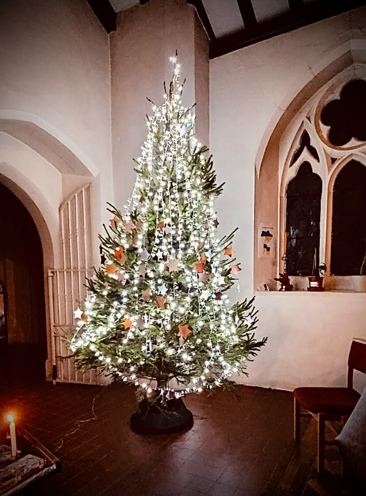 Planting A Tree For The Community - Trees for Streets