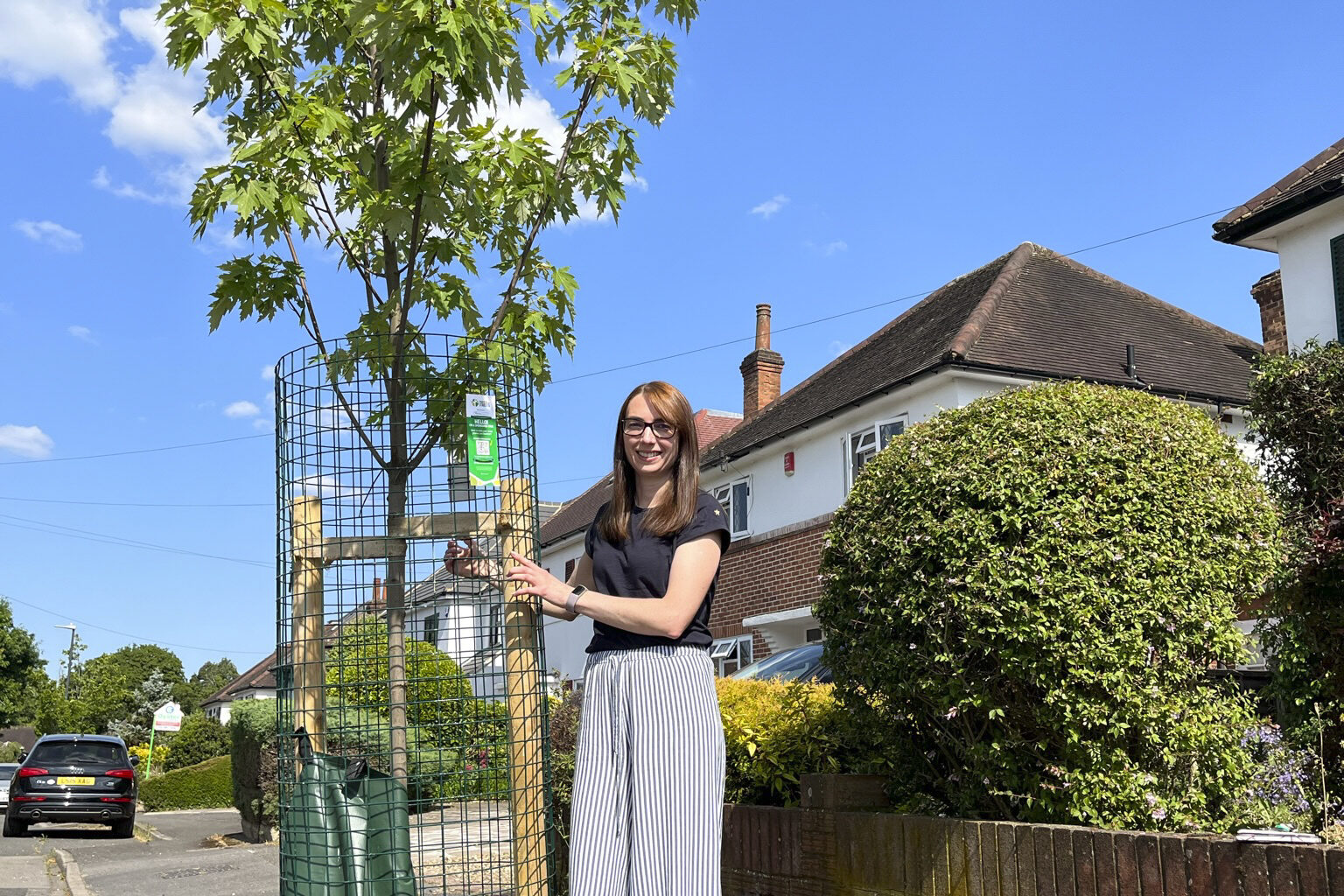 Harrow residents sponsor new street tree planting - Trees for Streets