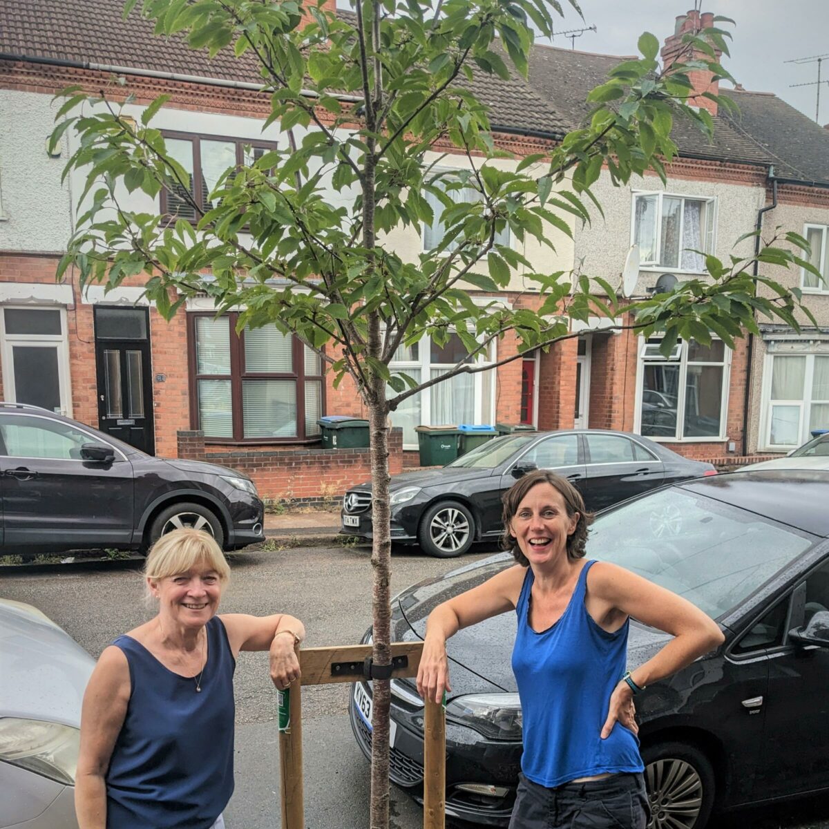 Sponsor Stories: Greening A Tree-Less Street - Trees for Streets