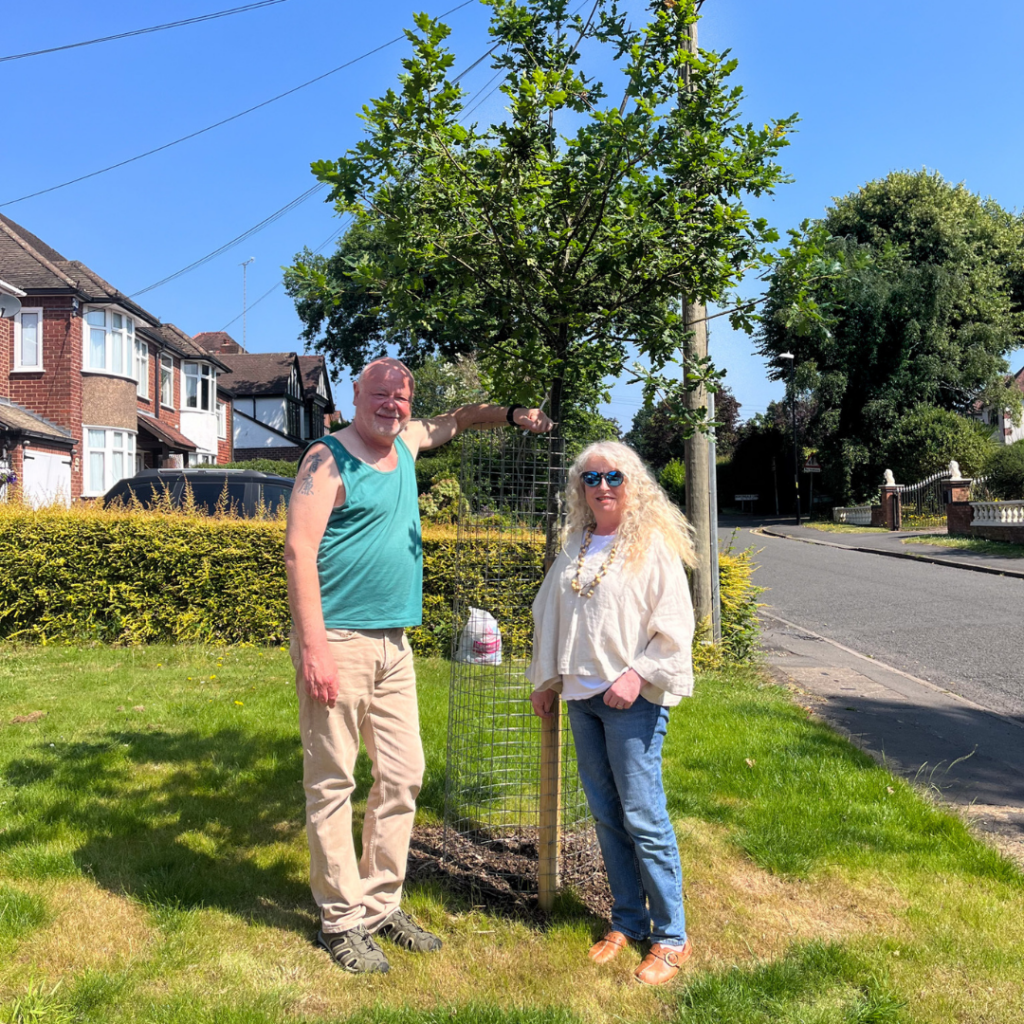 Sponsor Stories: Honouring an old heritage oak - Trees for Streets