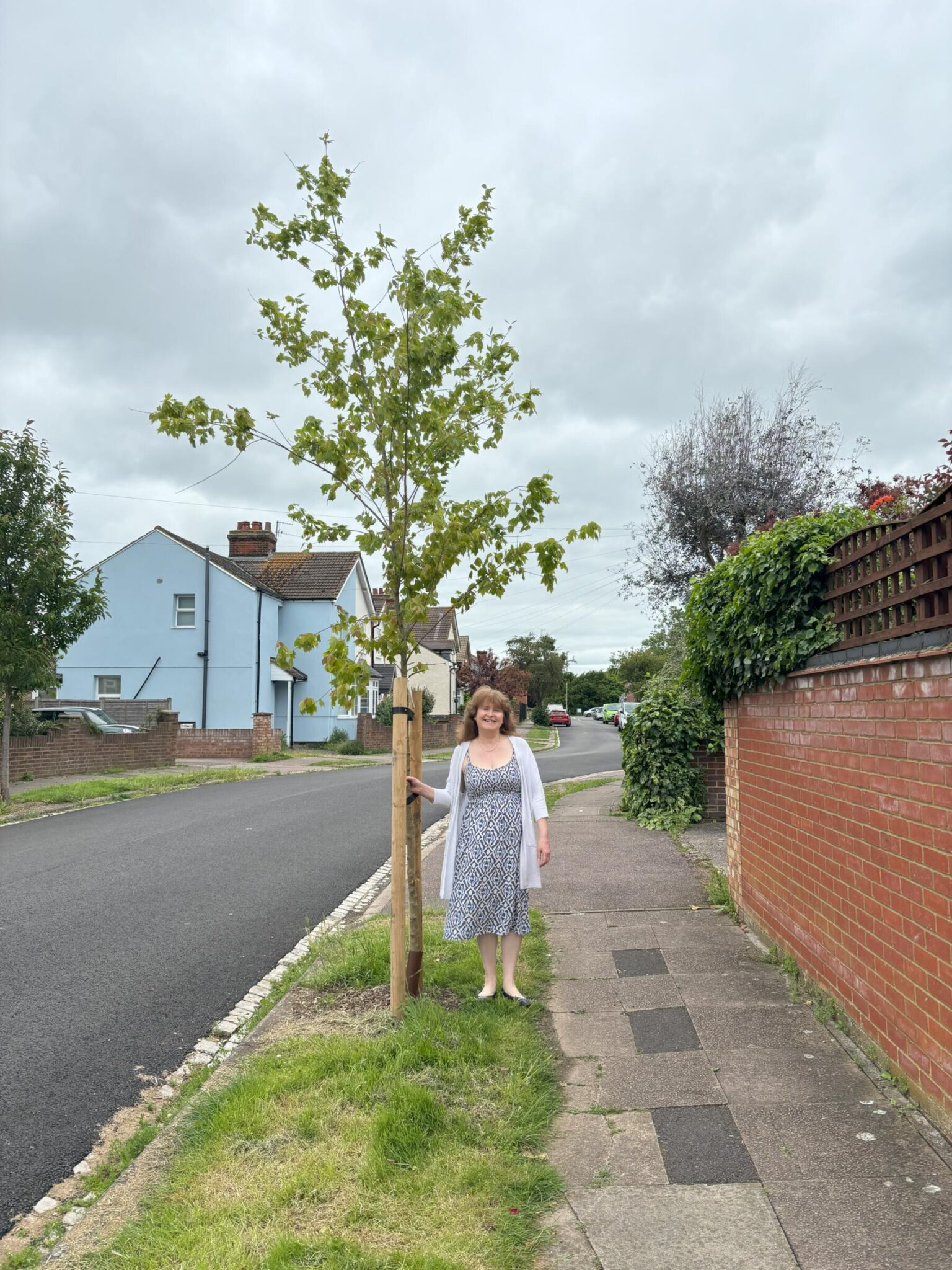 Residents and businesses green up local streets - Trees for Streets