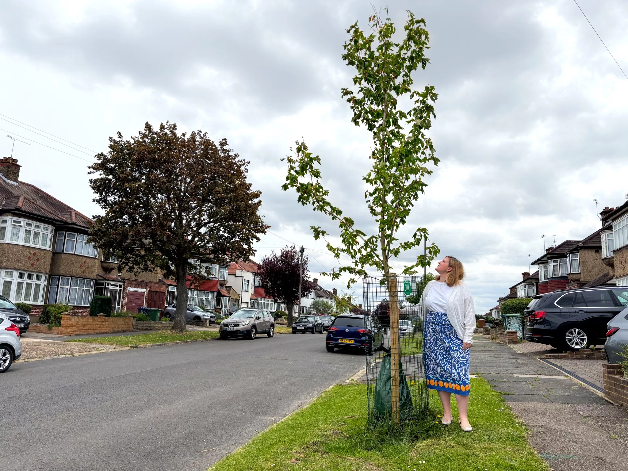 Sponsor Stories: Gift a tree - Trees for Streets